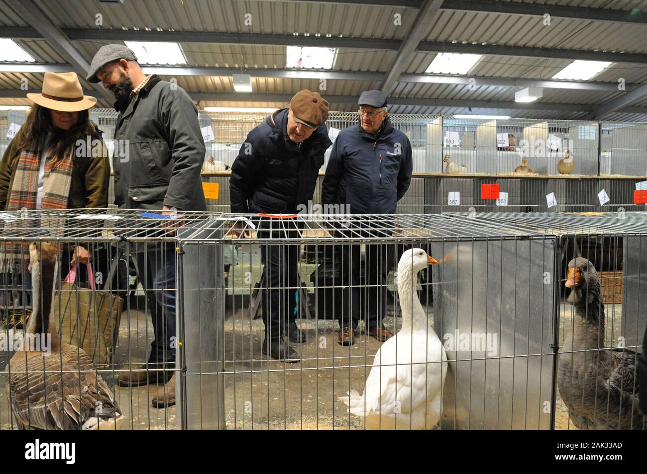 People examining poultry and geese on display at the Royal Welsh Winter ...