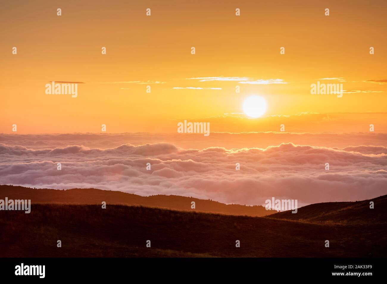 Plain colors hi-res stock photography and images - Alamy