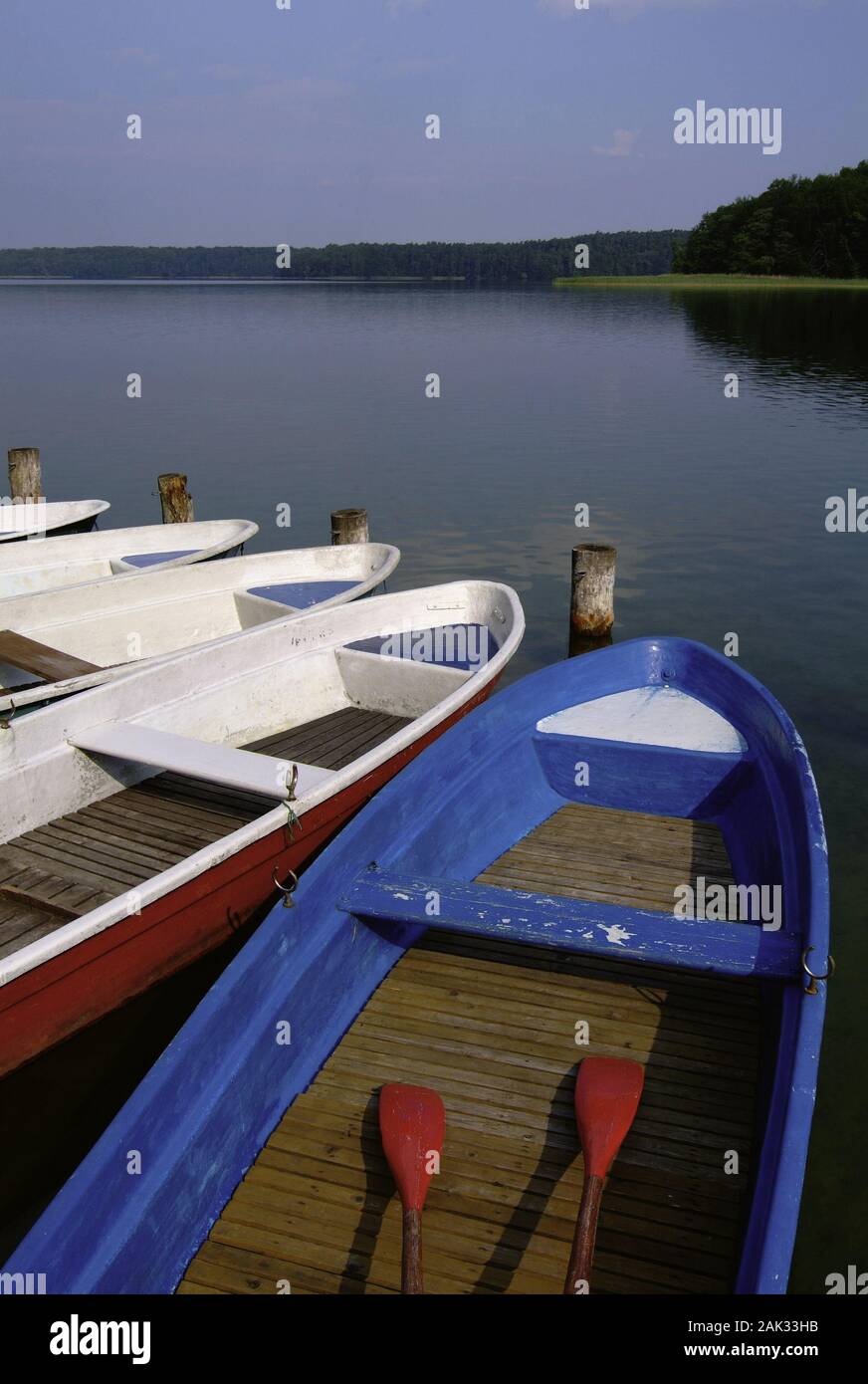 Boats anchor at the Lake Großer Stechlin in the nature park Stechlin ...