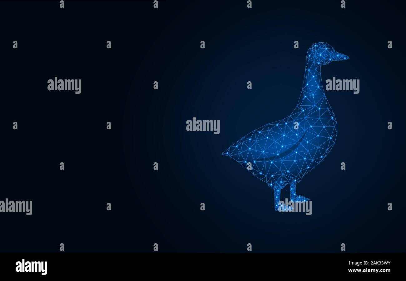 Goose low poly design, rural poultry wireframe mesh polygonal vector ...