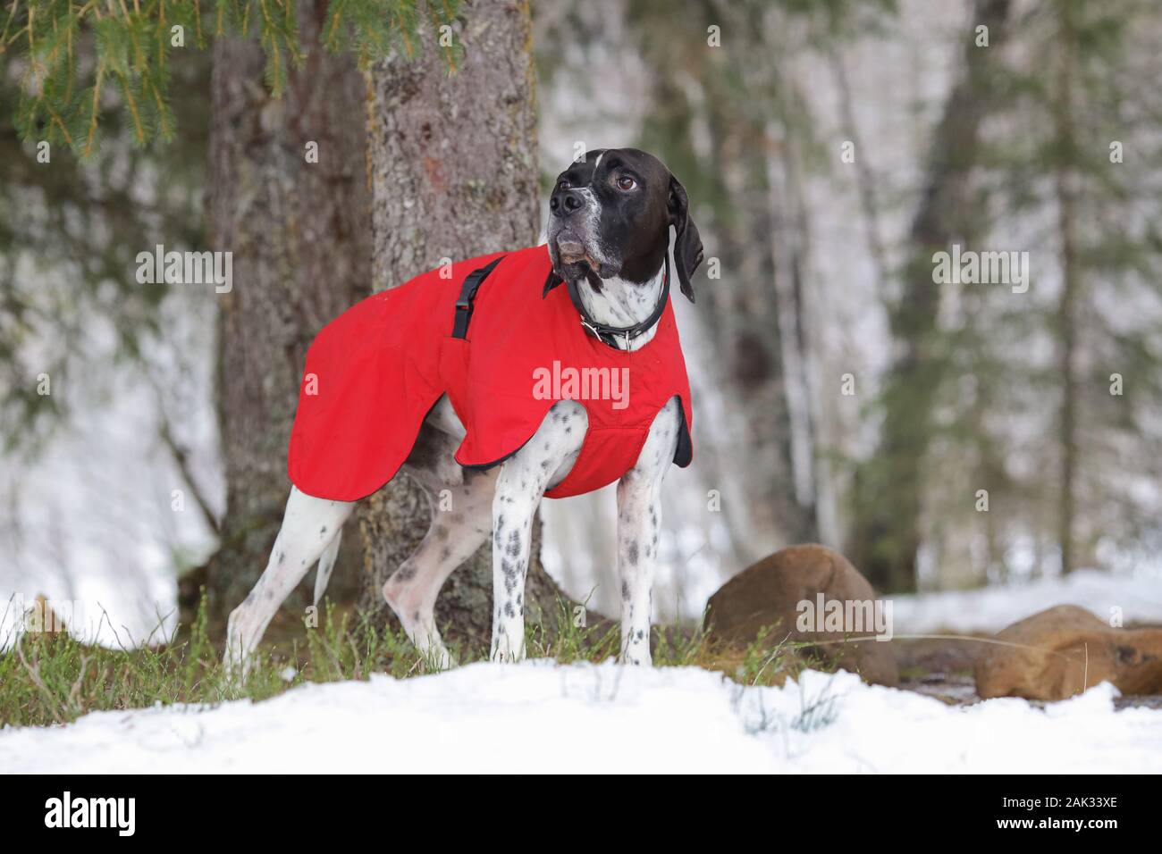 Pointer stones hi-res stock photography and images - Alamy