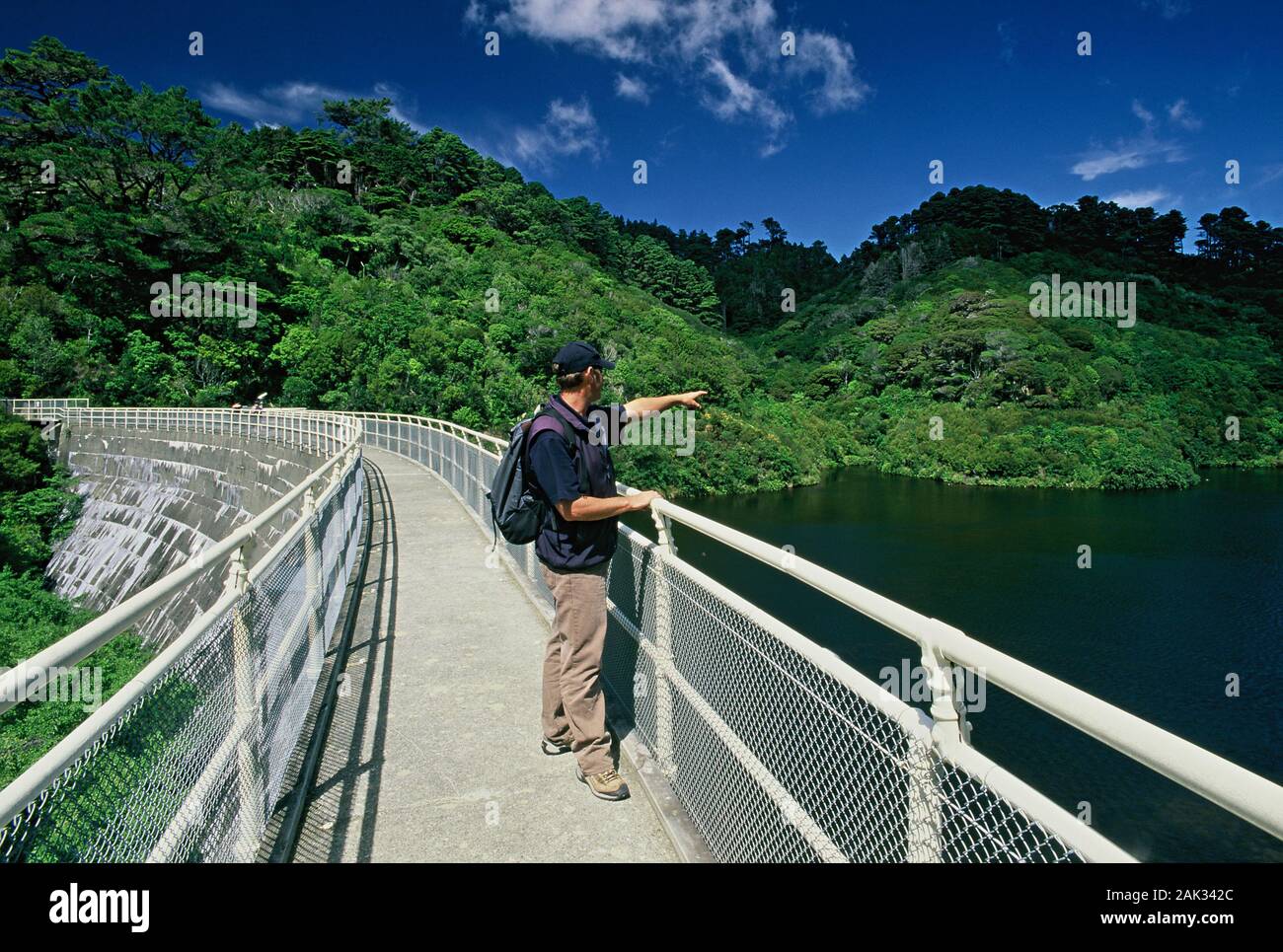 Karori wildlife sanctuary hi-res stock photography and images - Alamy