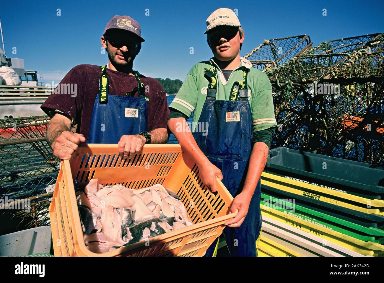 South pointing fish hi-res stock photography and images - Alamy