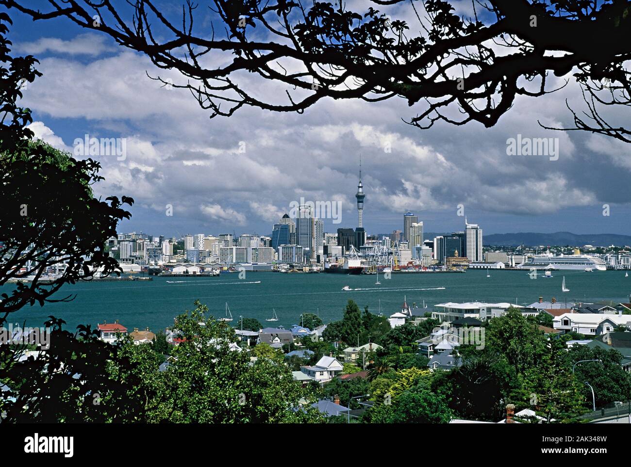 Directly at the Hauraki Gulf ranges the Skyline of Auckland, the ...
