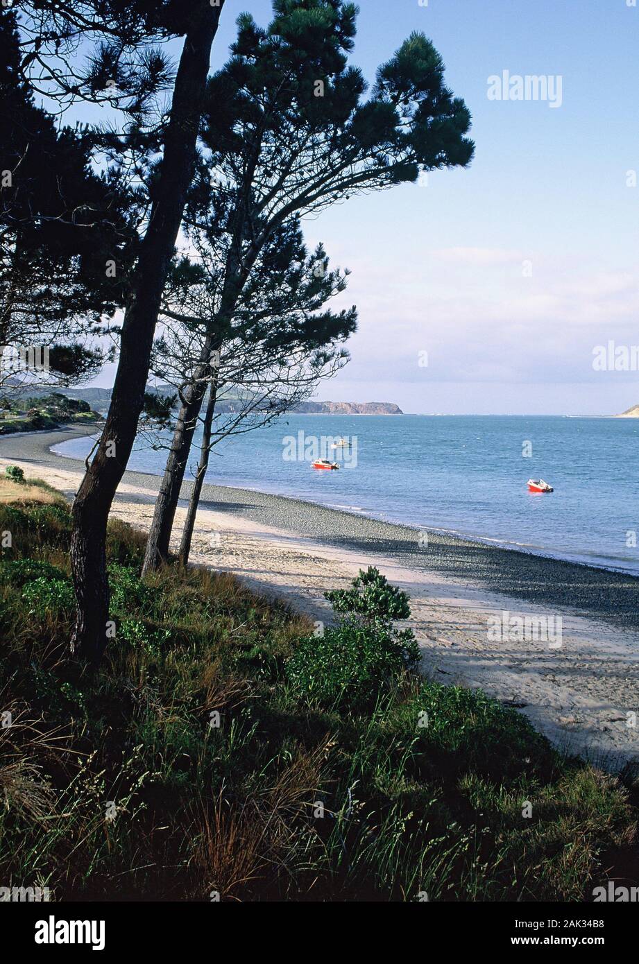 Opononi hi-res stock photography and images - Alamy