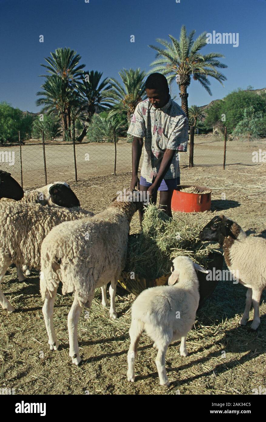 Goanikontes hi-res stock photography and images - Alamy