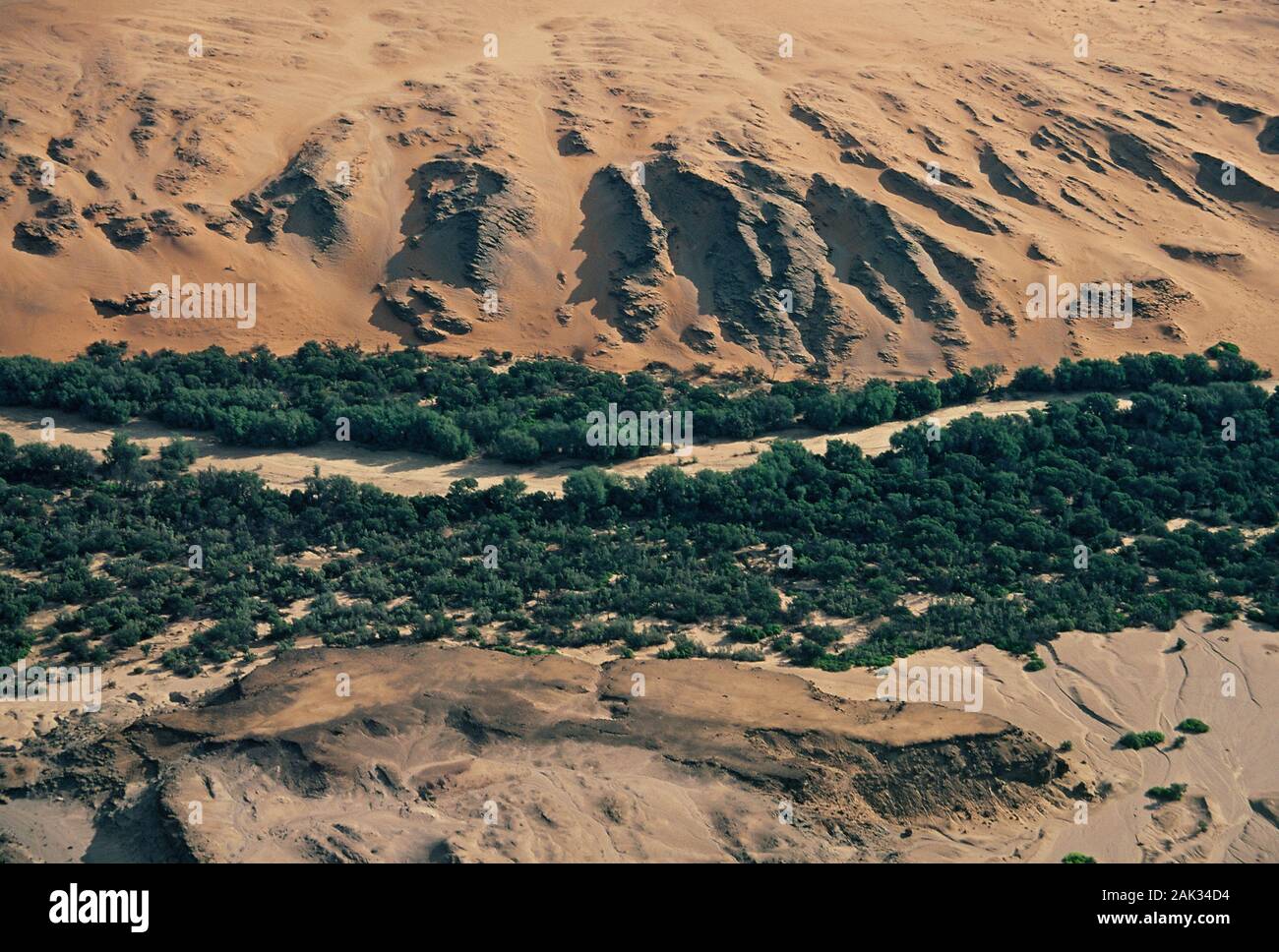 Water from the surface area brings copiousness along the dry Kuiseb ...