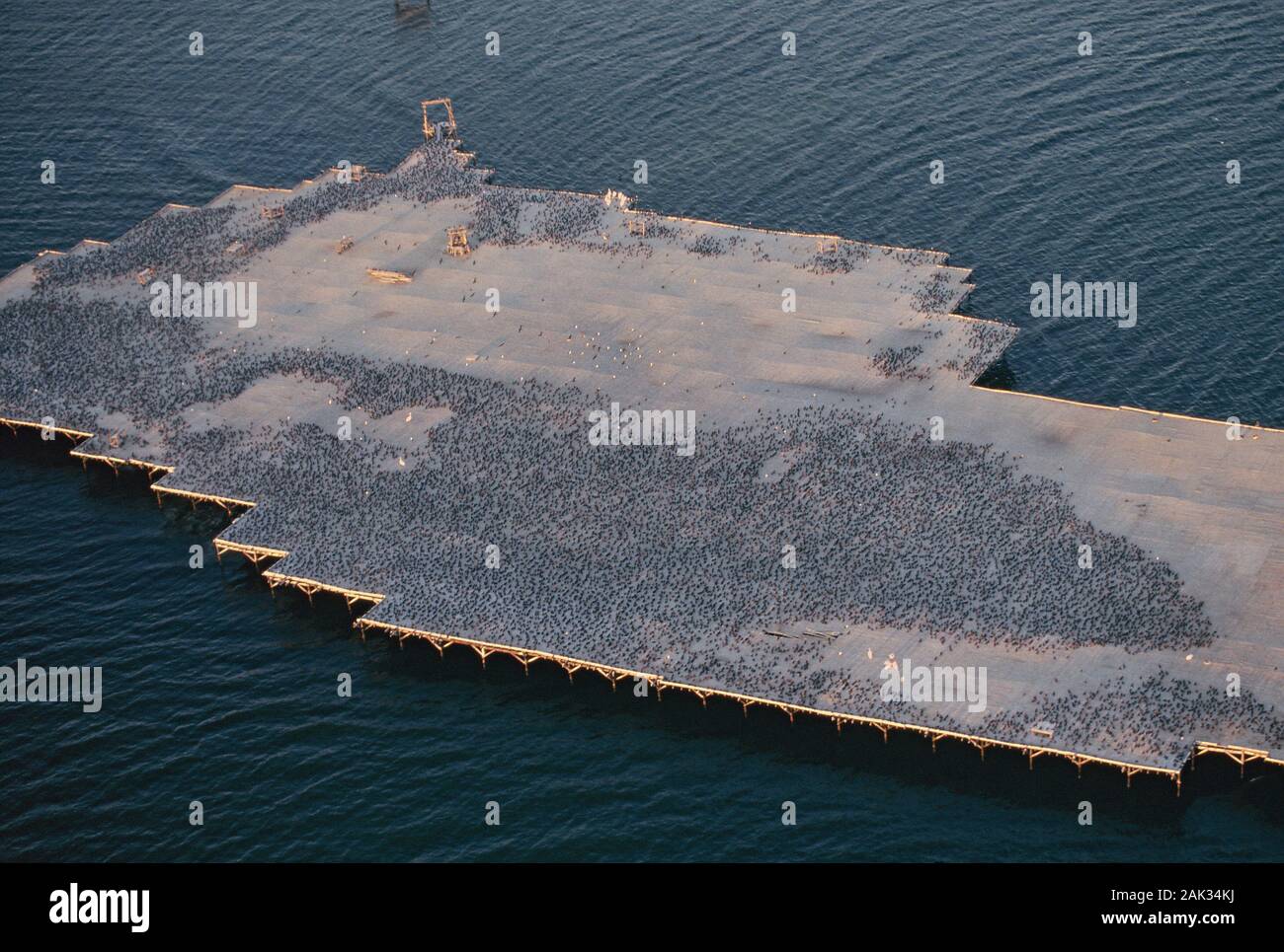 The Guano platform is located 9 kilometer northern of the Walvis Bay ...