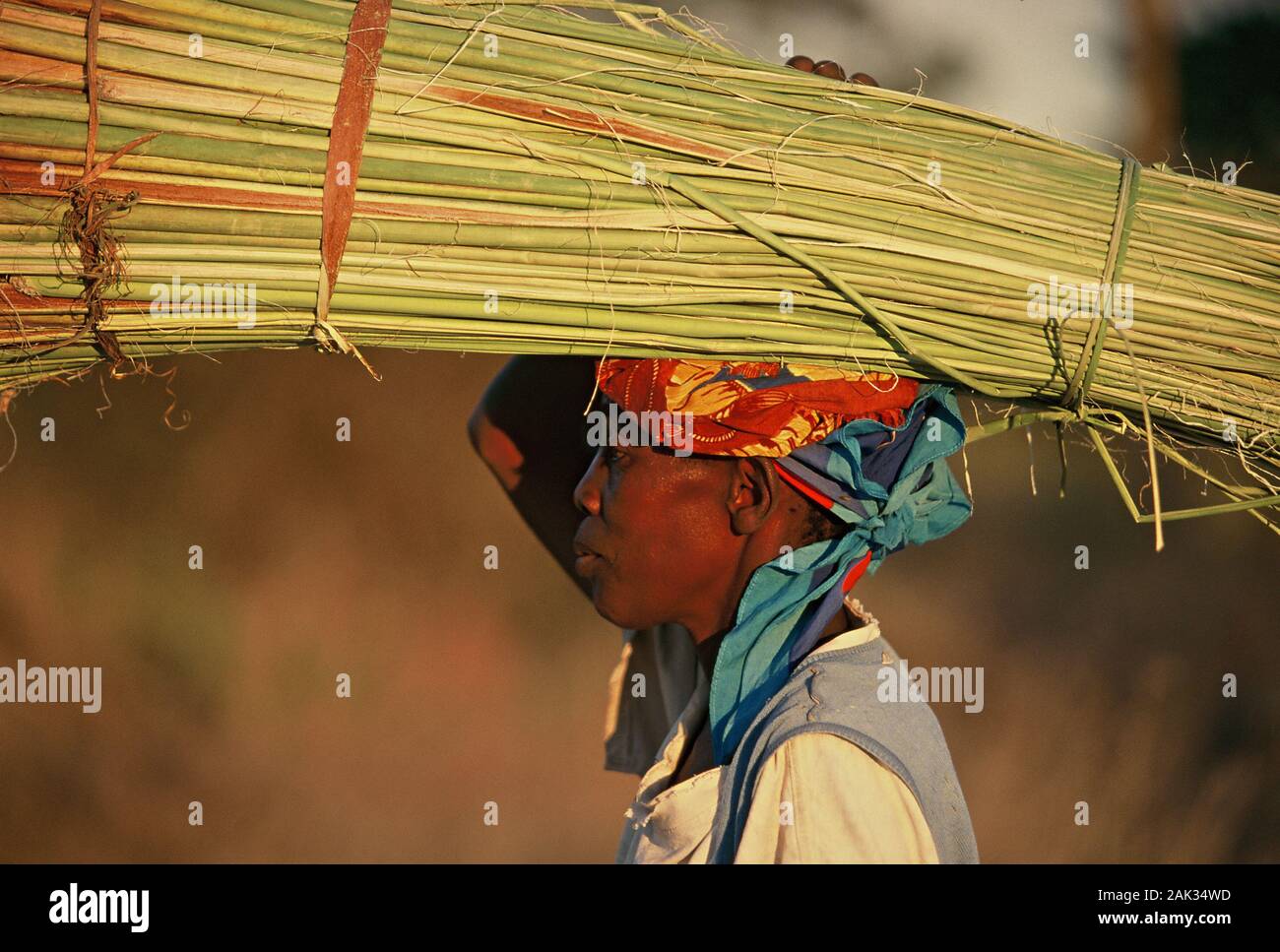 A Caprivian at work near Kongola, Namibia. (Undated picture) | usage ...