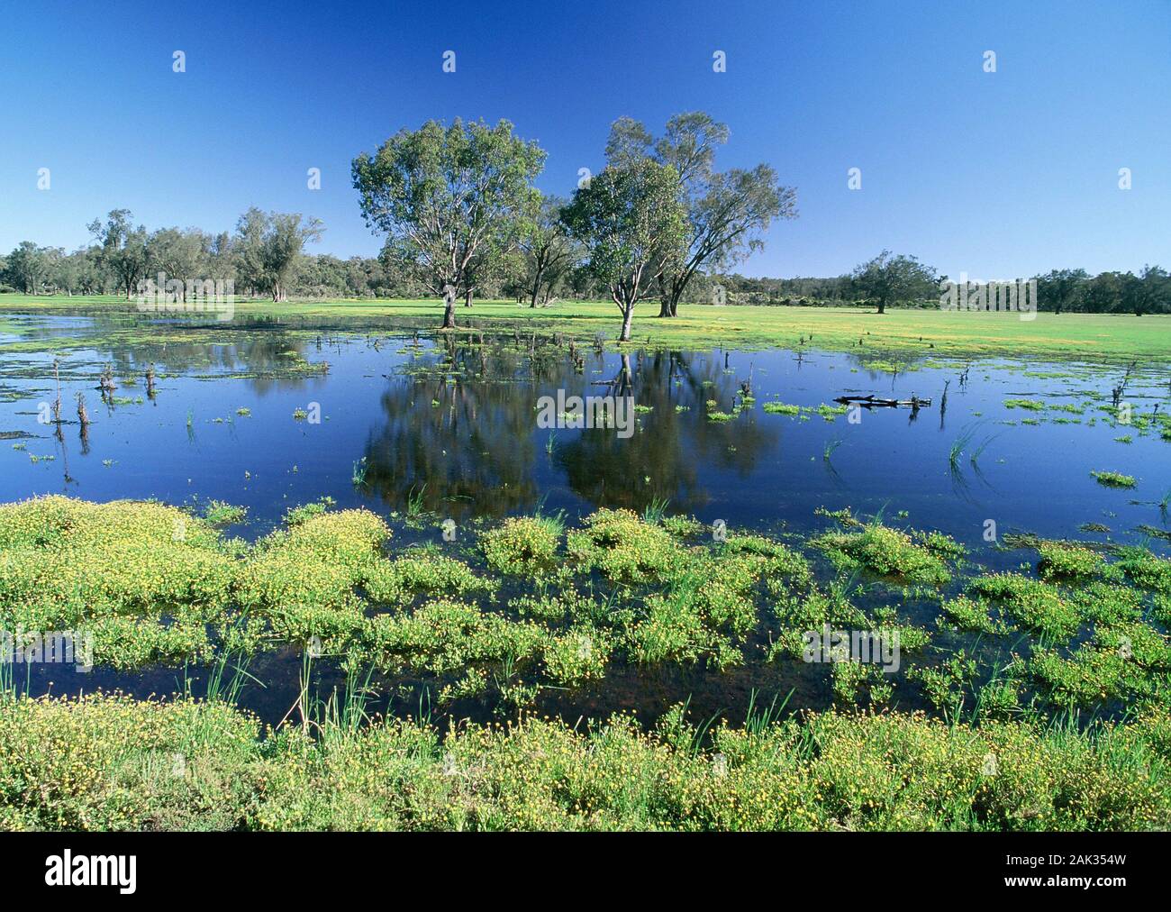 View of the river Avon which is part of the Avon Valley National Park ...