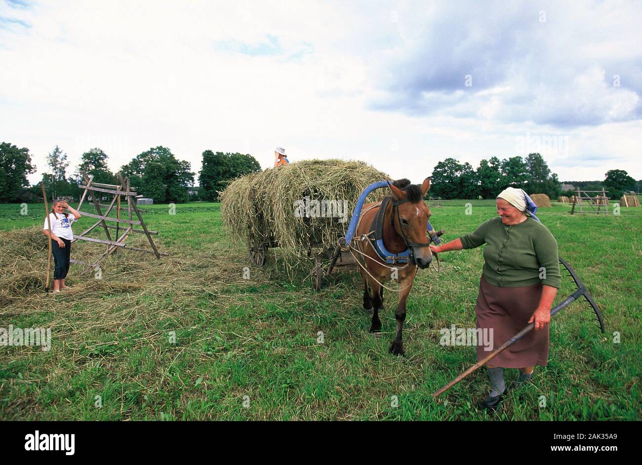 Shows a rake hi-res stock photography and images - Alamy