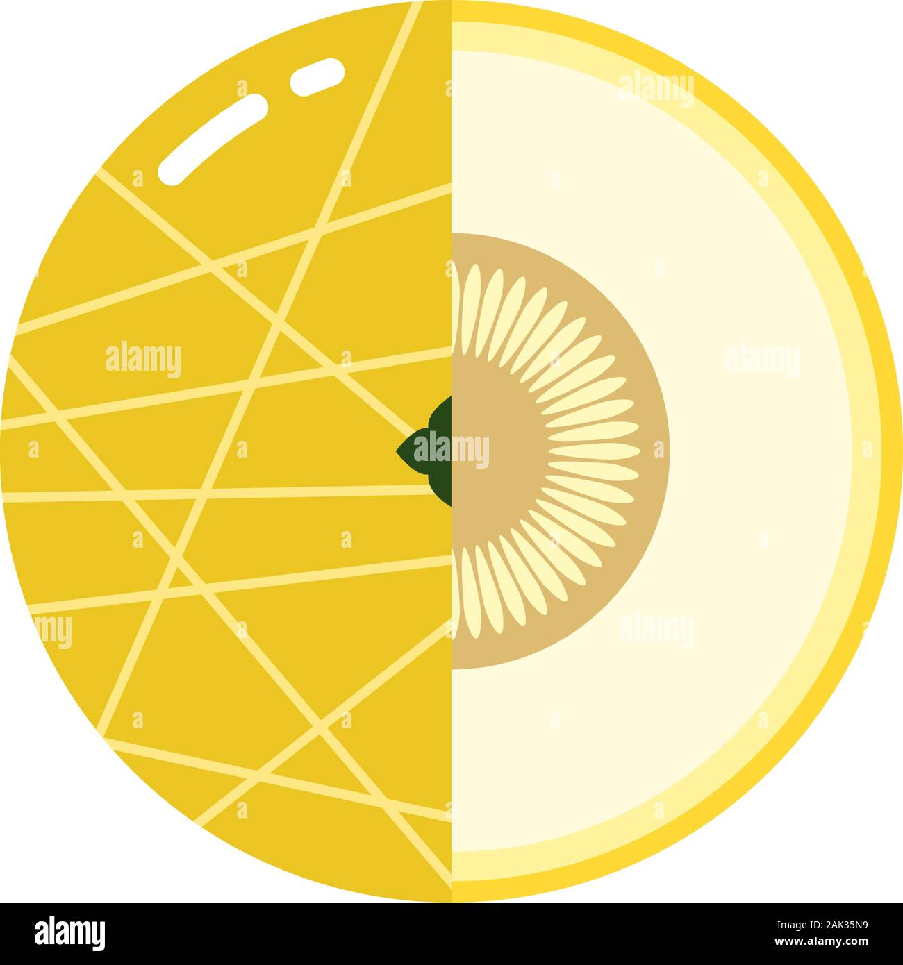 melon fruit sphere with half slice logo, flat icon design template ...