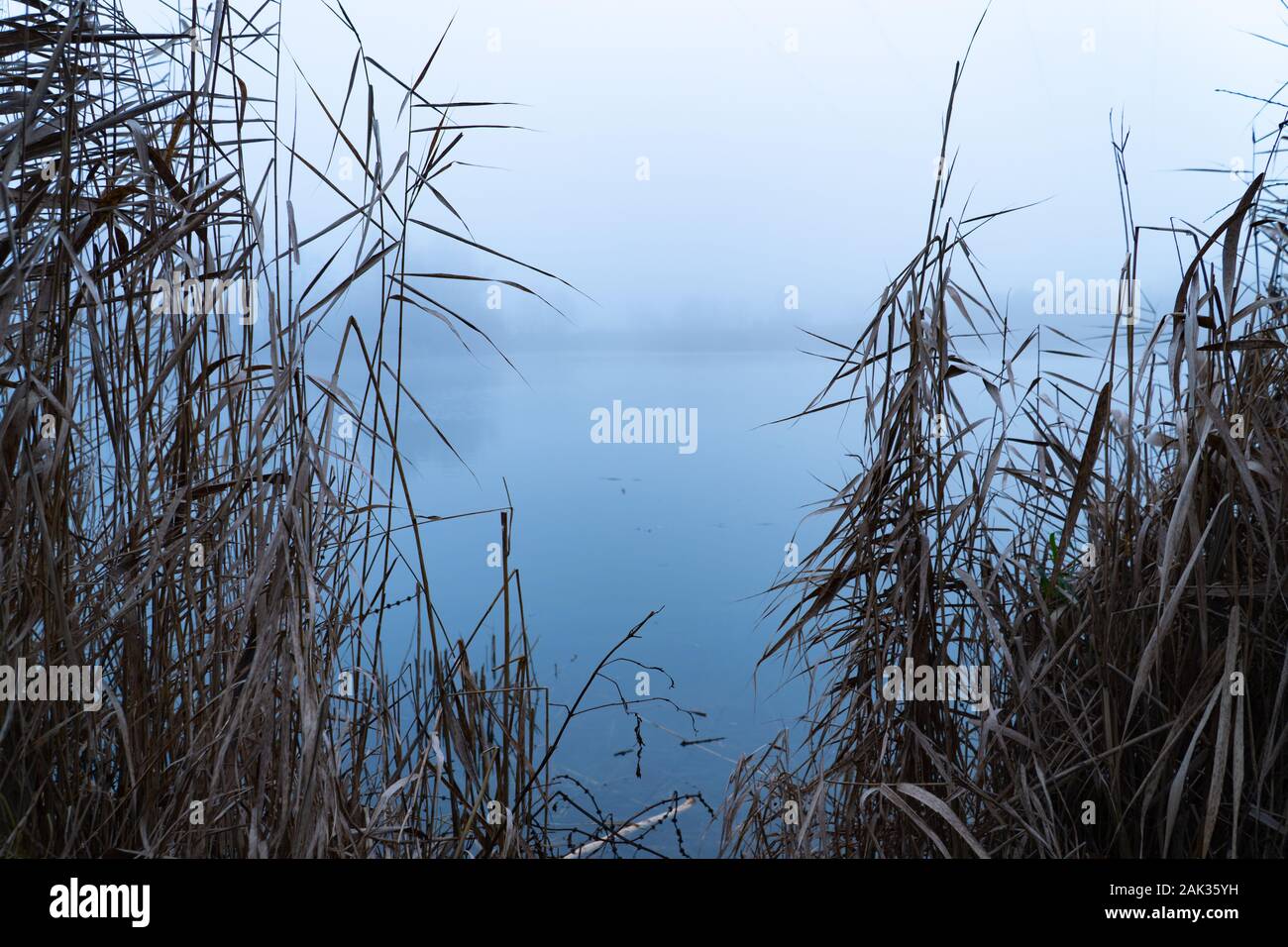 Water trough serene hi-res stock photography and images - Alamy