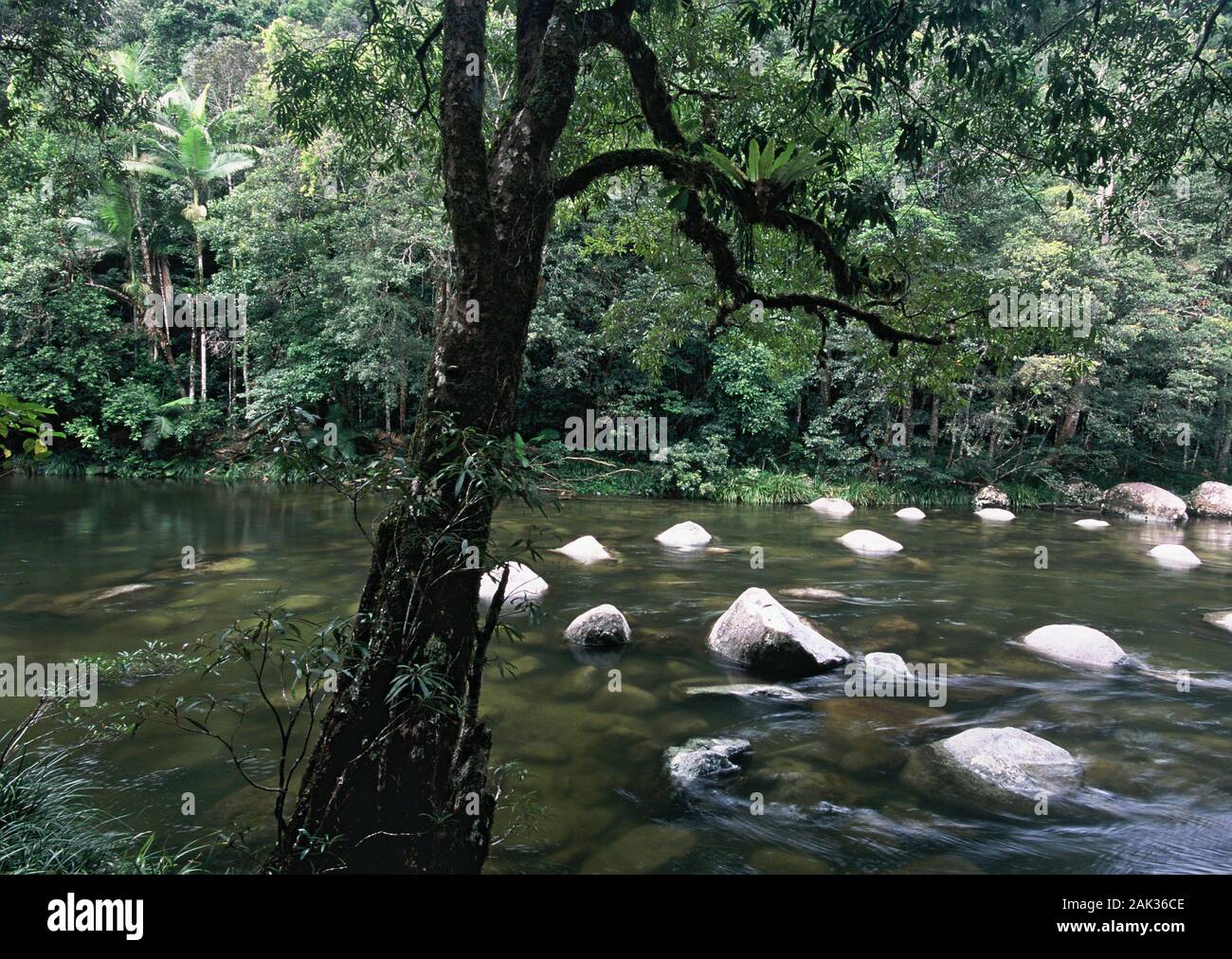 View of thelower reaches of the Tully river in Queensland, Australia ...