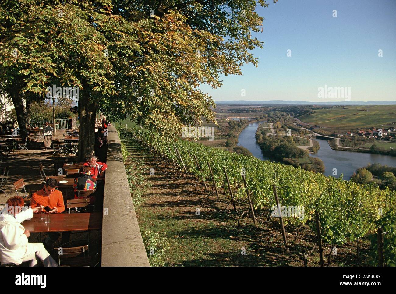View of the river Main seen from the tavern of the Vogelsburg in ...