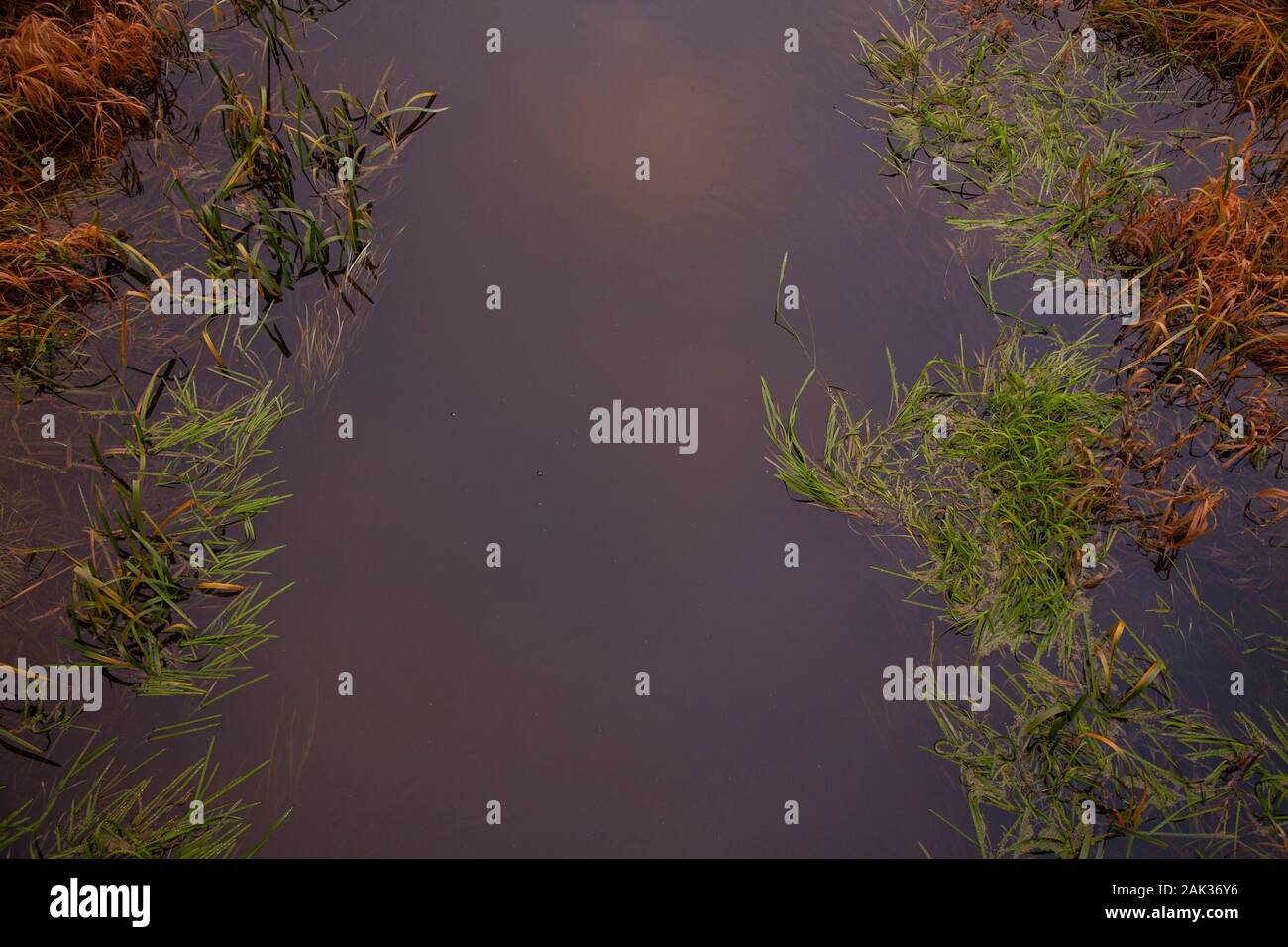 Snowless clouds hi-res stock photography and images - Alamy