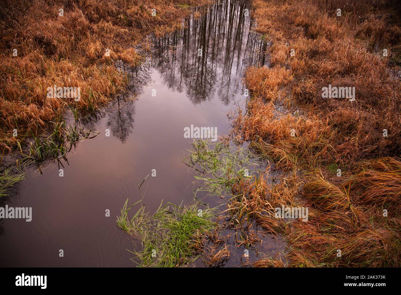 Snowless clouds hi-res stock photography and images - Alamy