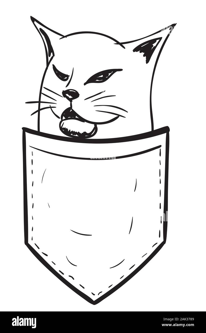 Kitty in my pocket hi-res stock photography and images - Alamy