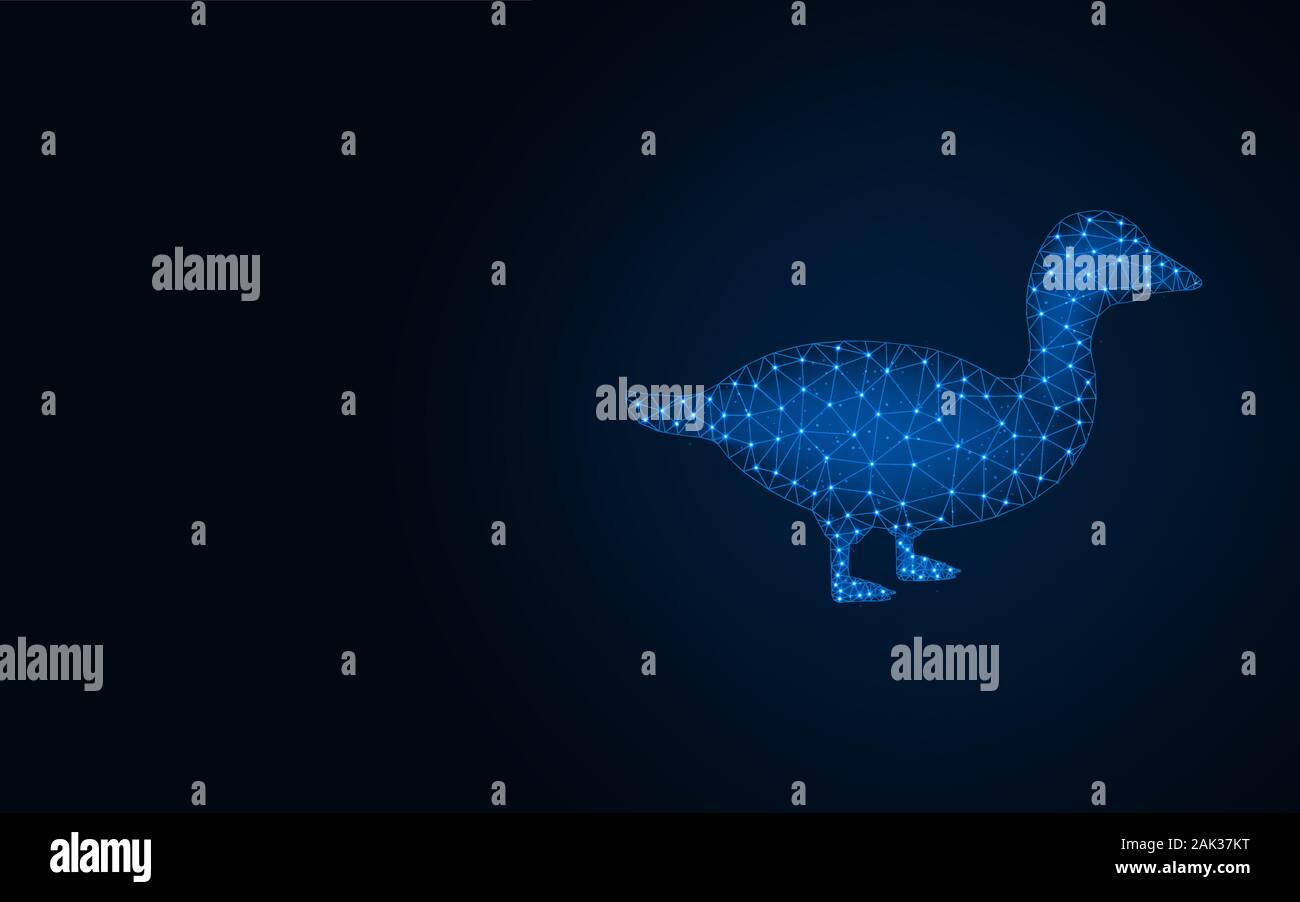 Duck low poly design, rural poultry wireframe mesh polygonal vector ...