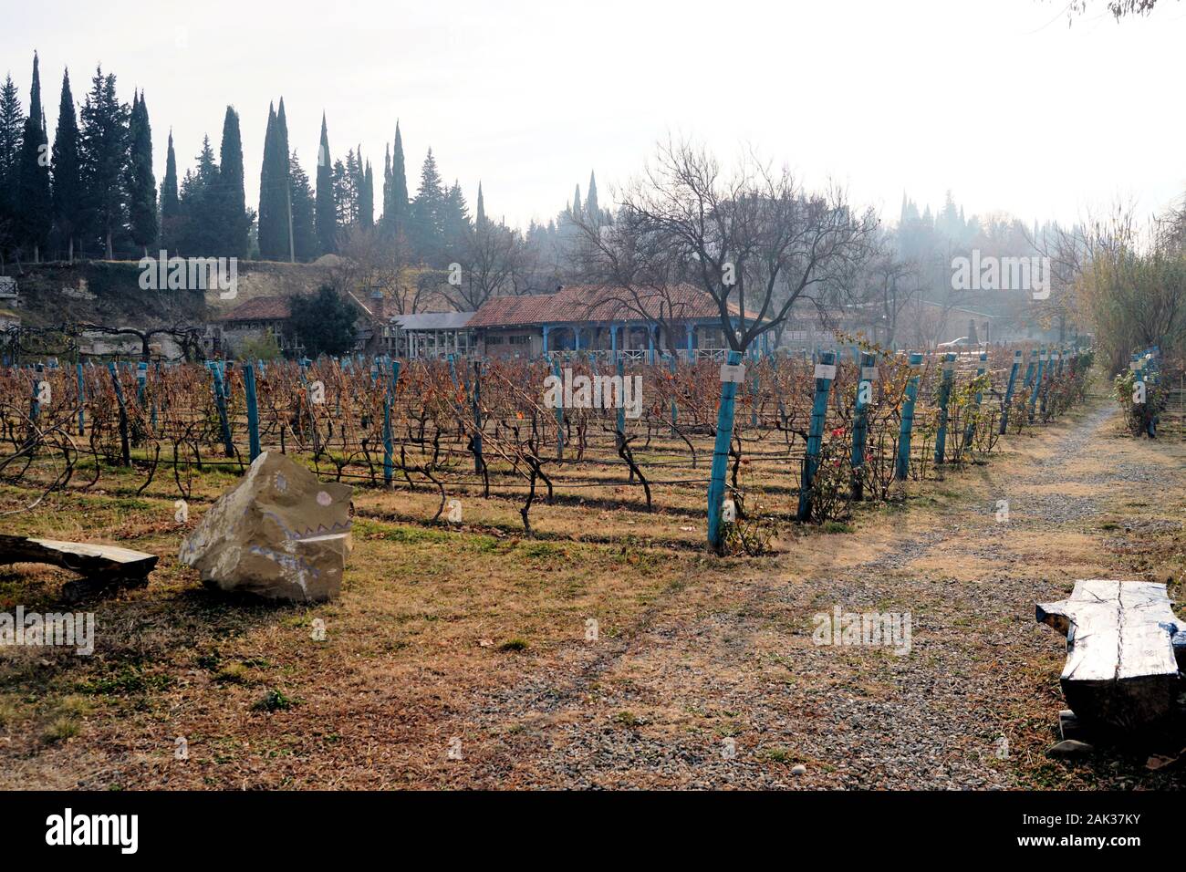 Shumi Winery, Georgia Stock Photo - Alamy