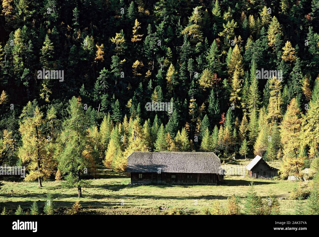 In autumn the forests change colours at the 18 kilometers long and toll ...