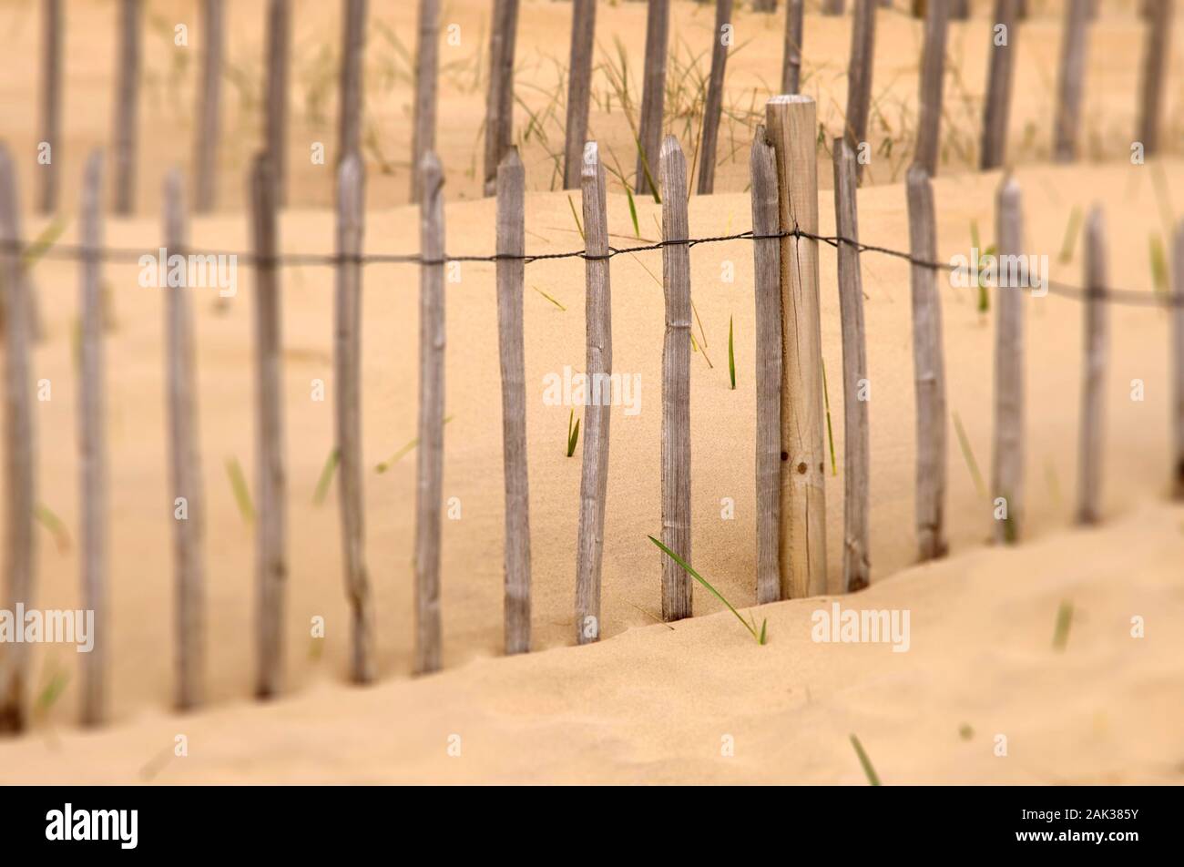 Sand trap fencing,Sandhaven beach, South Shields, South Tyneside Stock ...