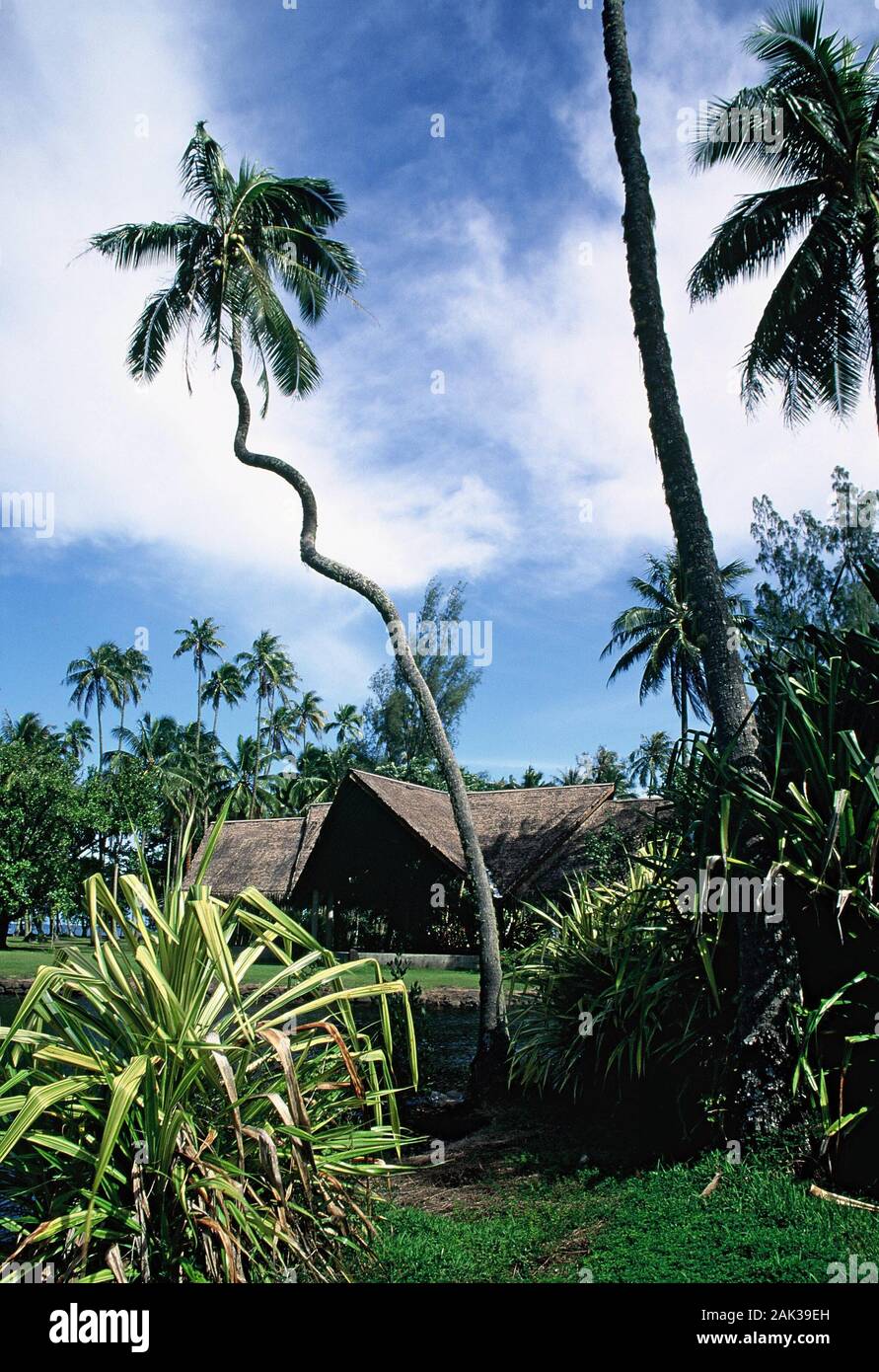 Traditional huts with thatched roofs are standing in the west of the ...
