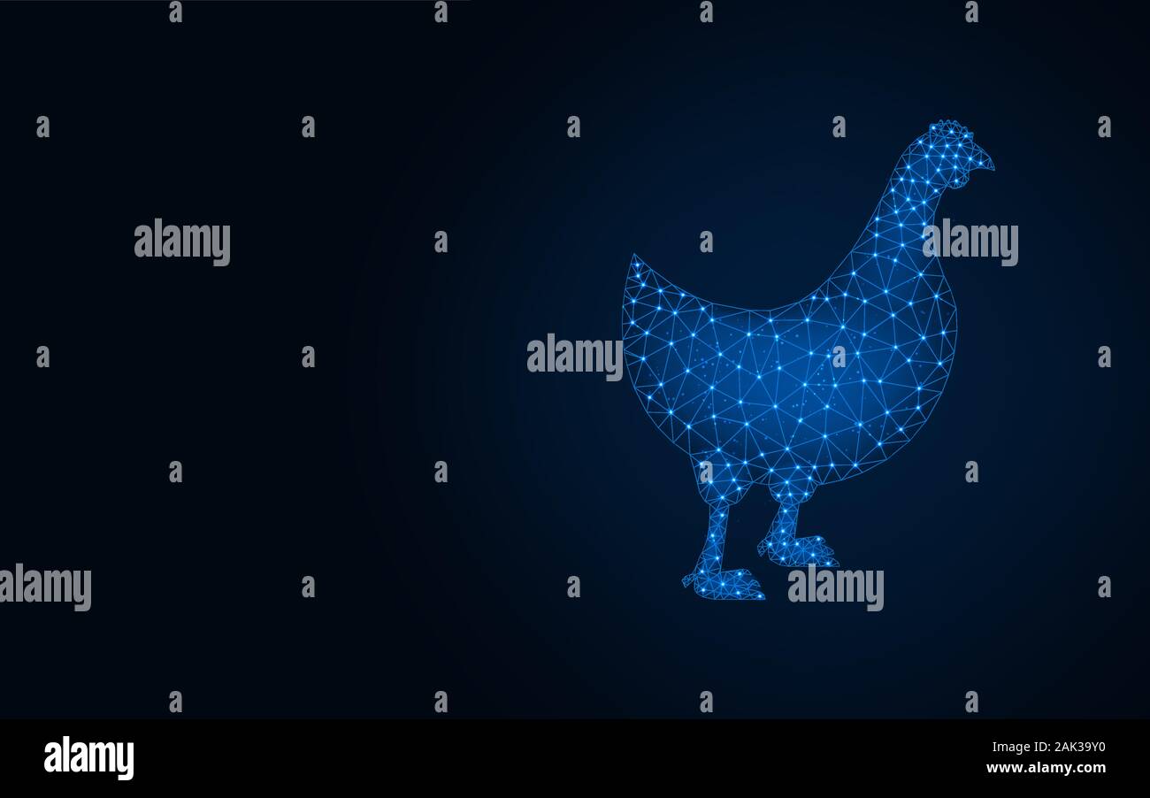 Chicken low poly design, rural poultry wireframe mesh polygonal vector ...