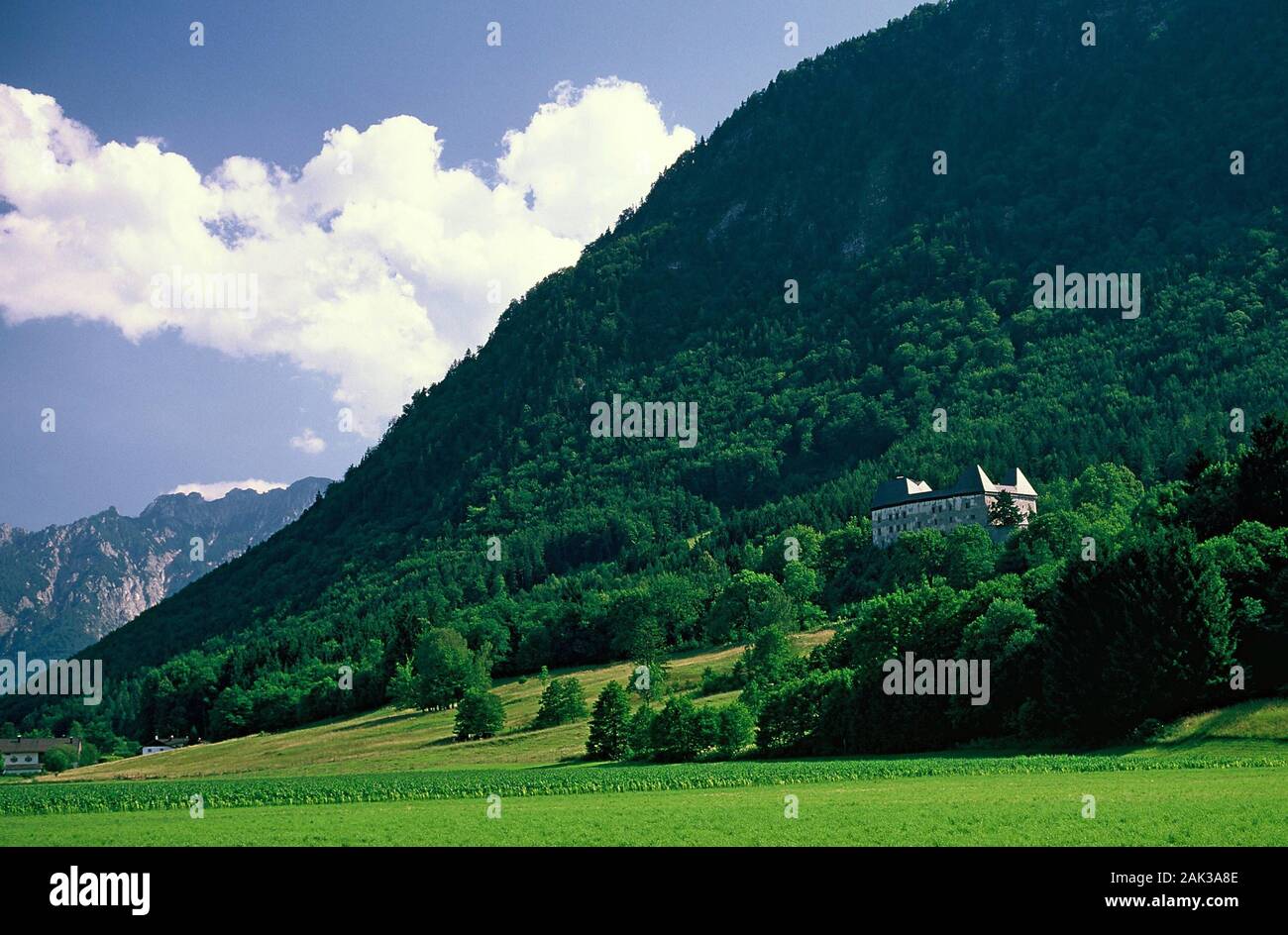 Surrounded by forest Staufeneck Castle is situated at a slope of the ...