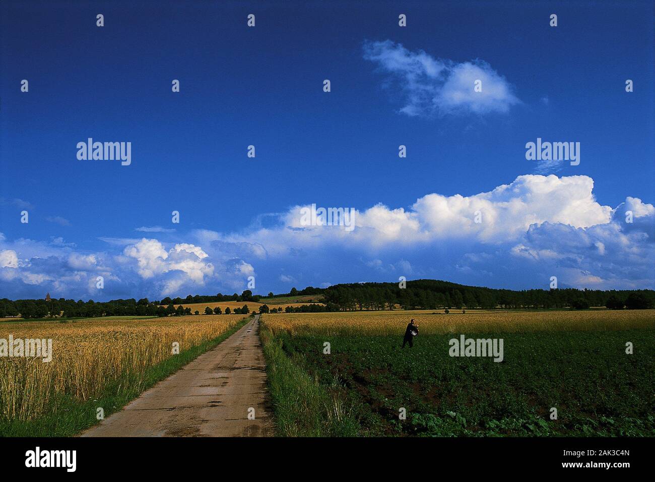 The typical kashubian landscape in Poland. (undated picture) | usage ...