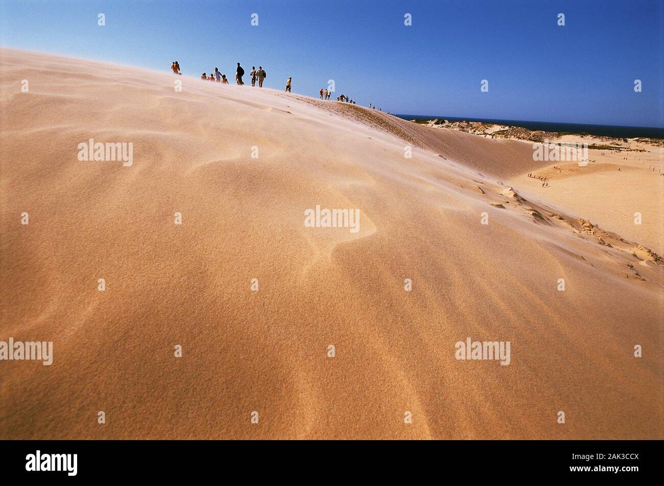 The sand dunes near Leba, Poland. The original village had to give way ...