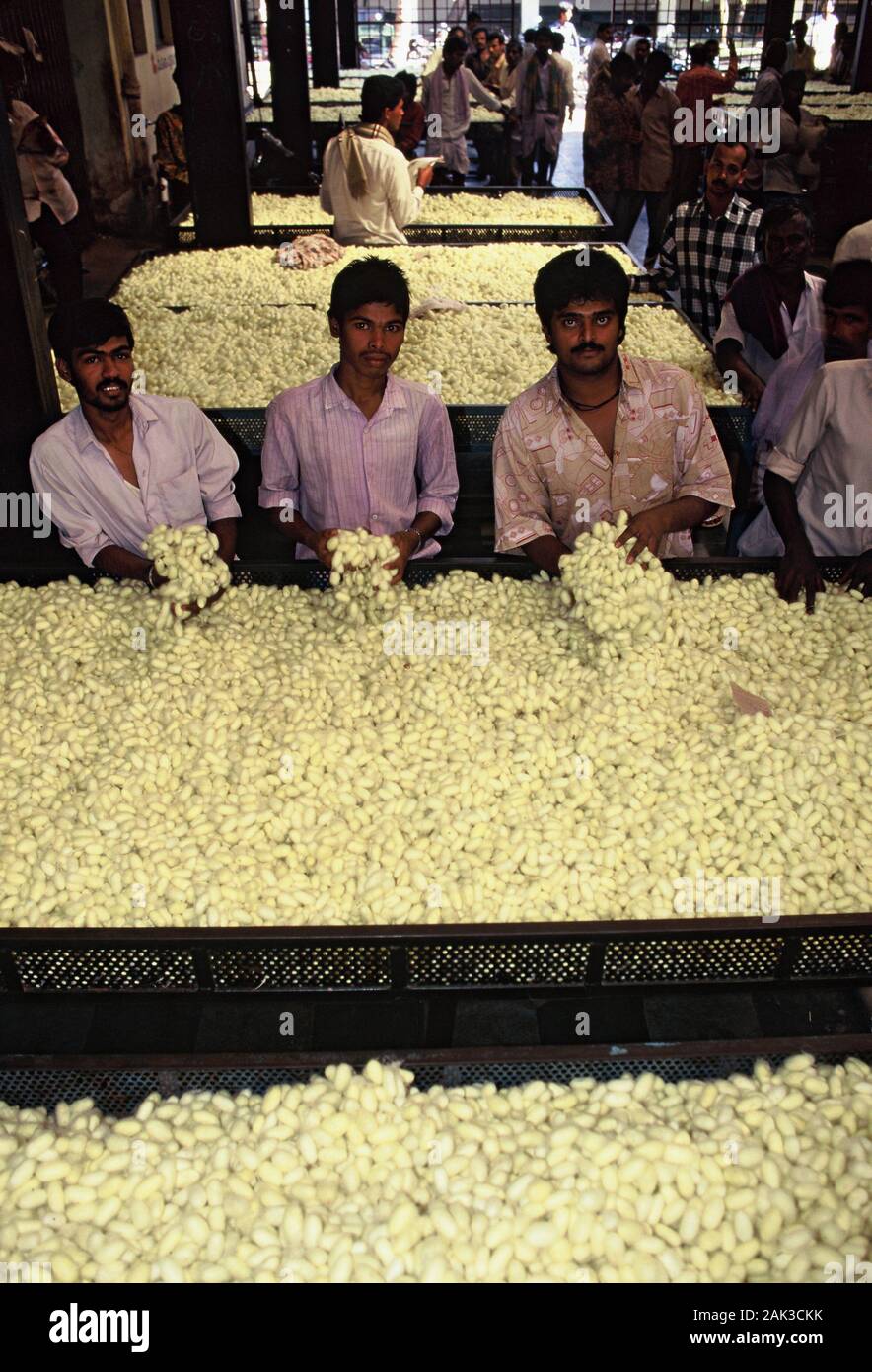 Marketing Of Cocoons