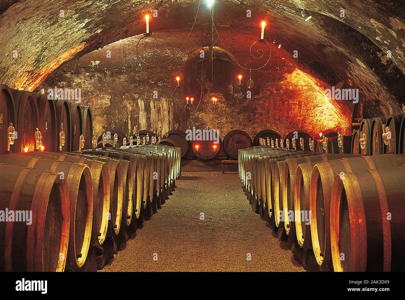 The wine cellar of the castle Johannisberg in the Rheingau, Germany ...