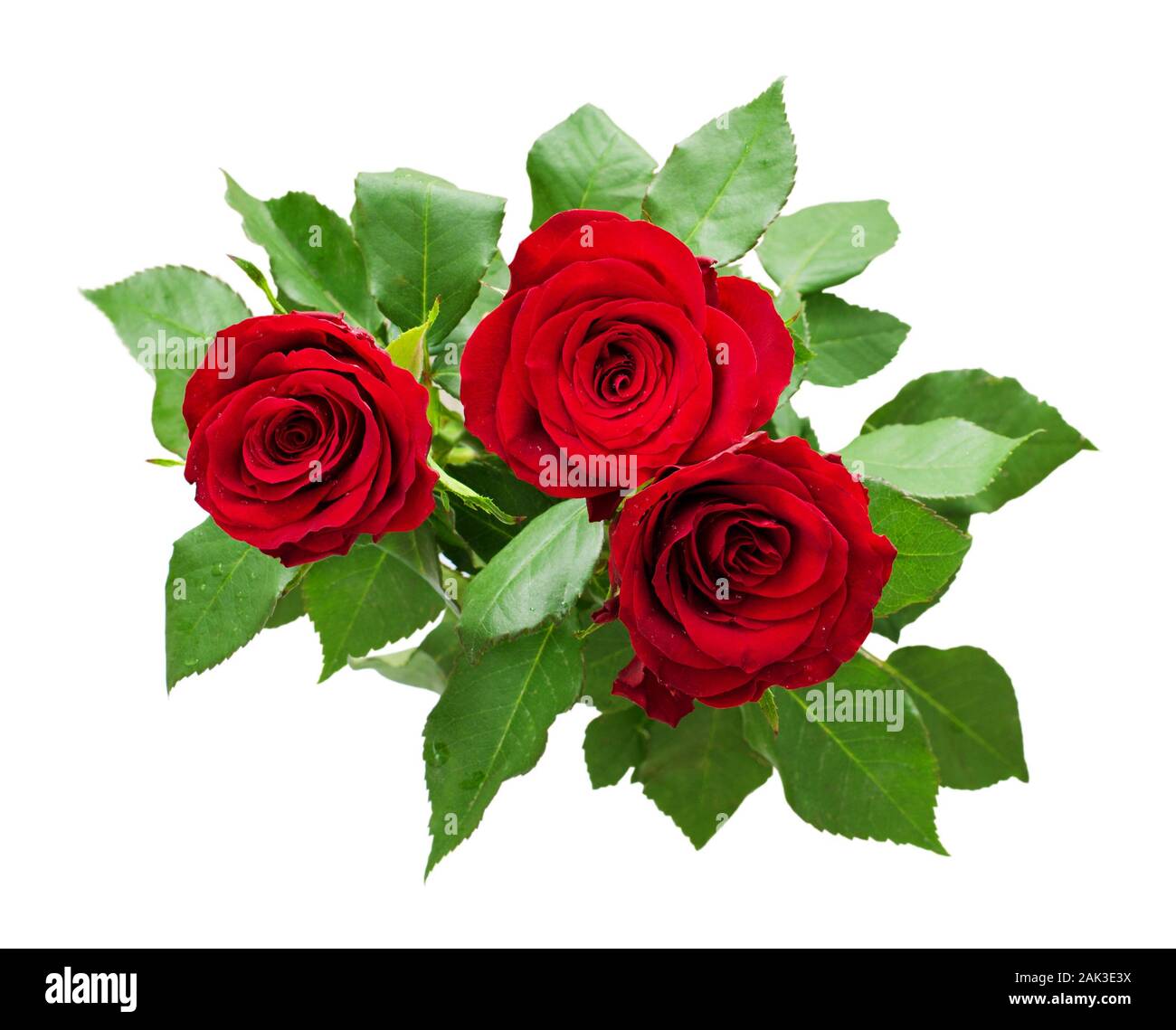 Three red rose flowers bouquet isolated on white Stock Photo - Alamy