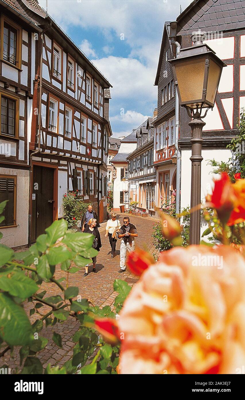 In the Old Town of Eltville in the Rheingau, Germany, you can see much ...