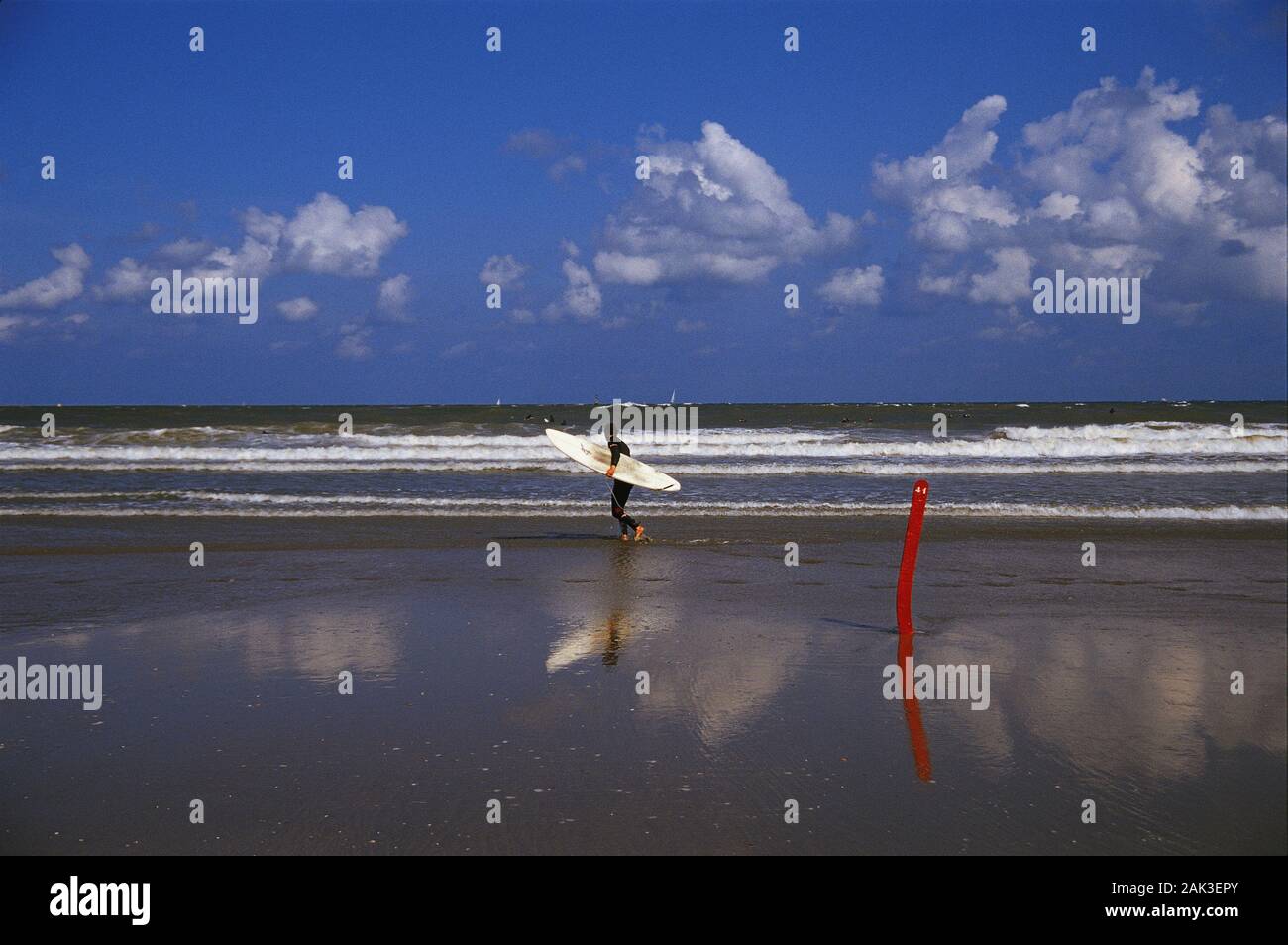 A surfer on the beach of Scheveningen, Netherlands. The North Sea is ...