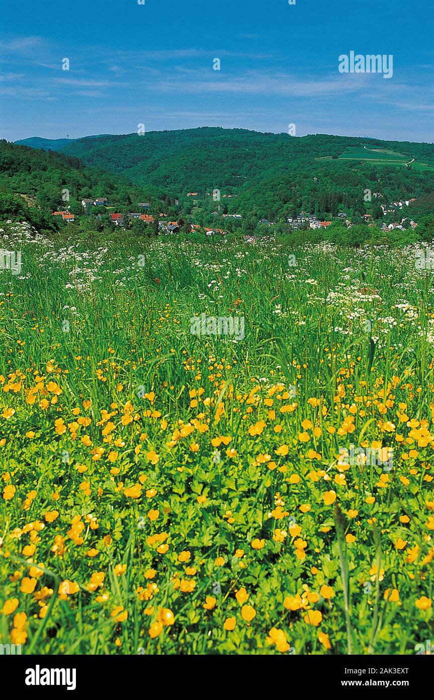 Hofheim lorsbach hi-res stock photography and images - Alamy