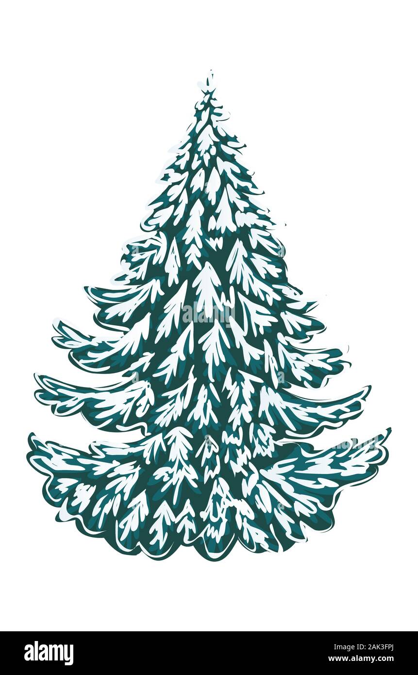 Fresh branches fir tree Stock Vector Images - Alamy