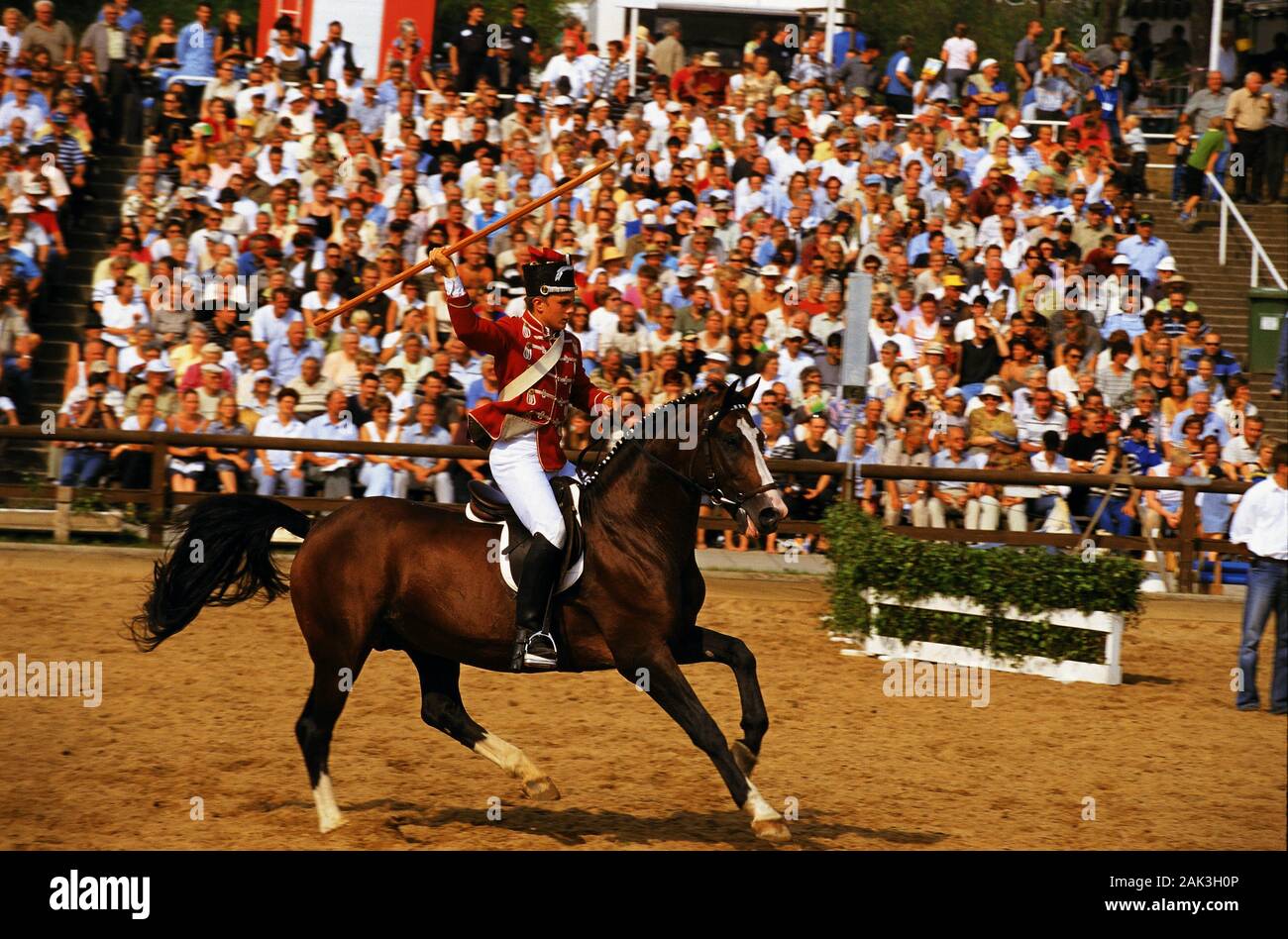 Noble breeds hi-res stock photography and images - Alamy