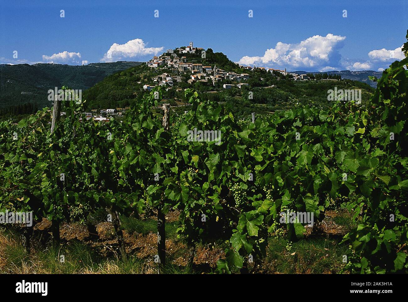 Above the Mirna valley in Crotia is the medieval village Motovun ...