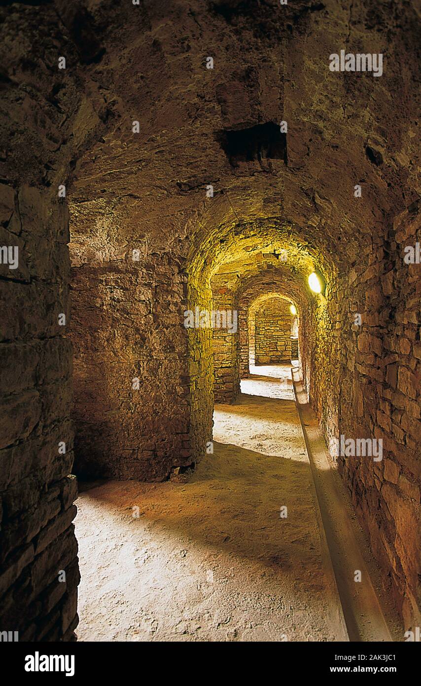 One can visit the mine walks in the citadel Petersberg in Erfurt ...