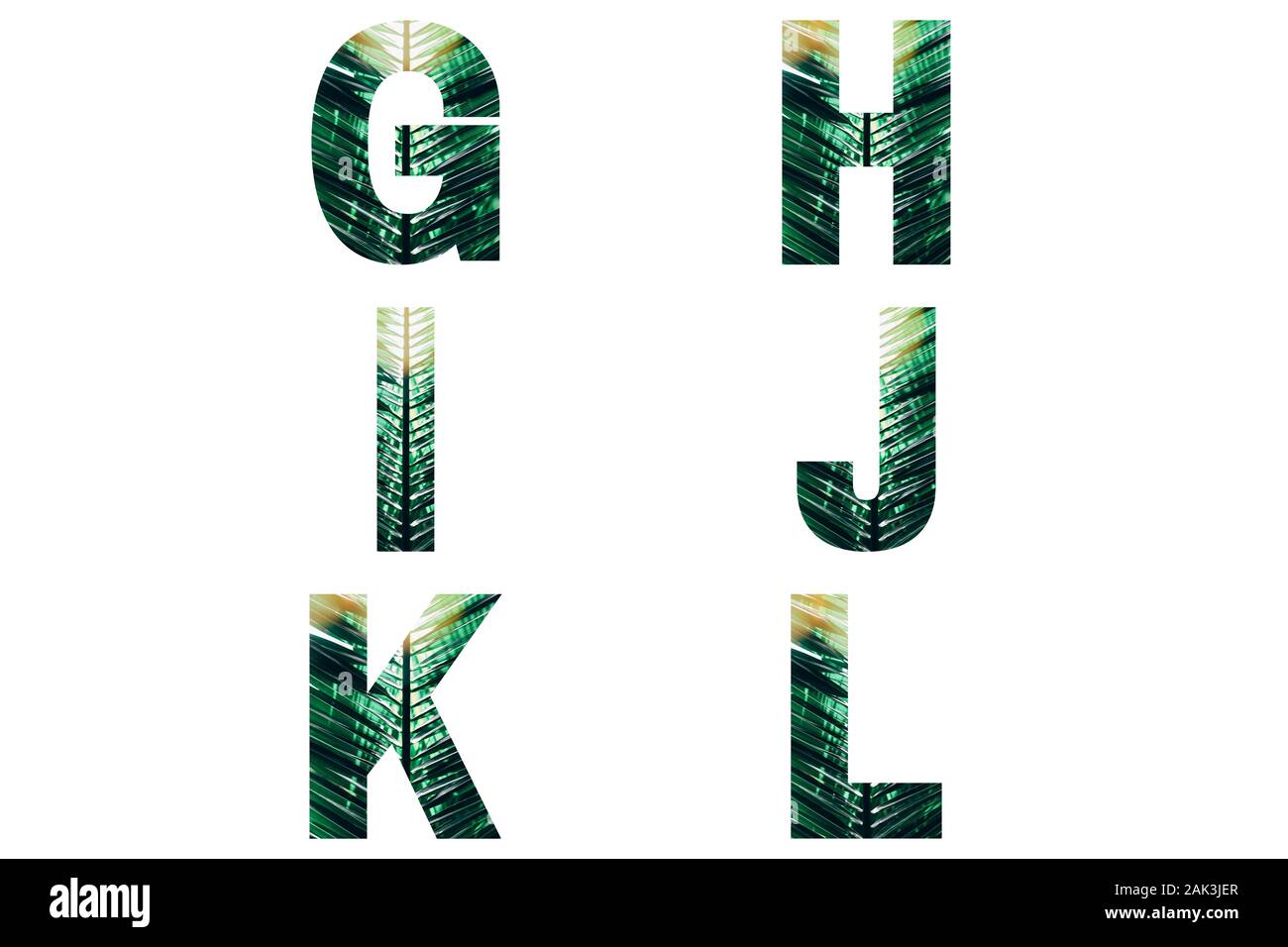 Wicker font Alphabet g, h, i, j, k, l made of fresh green palm leaves ...