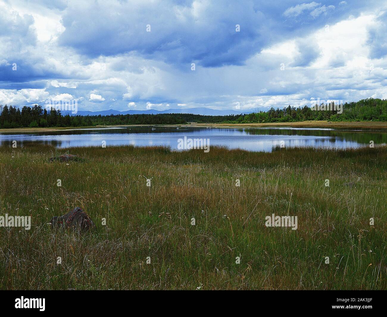 The quiet green landscape at the Cariboo highway south of Prince George ...
