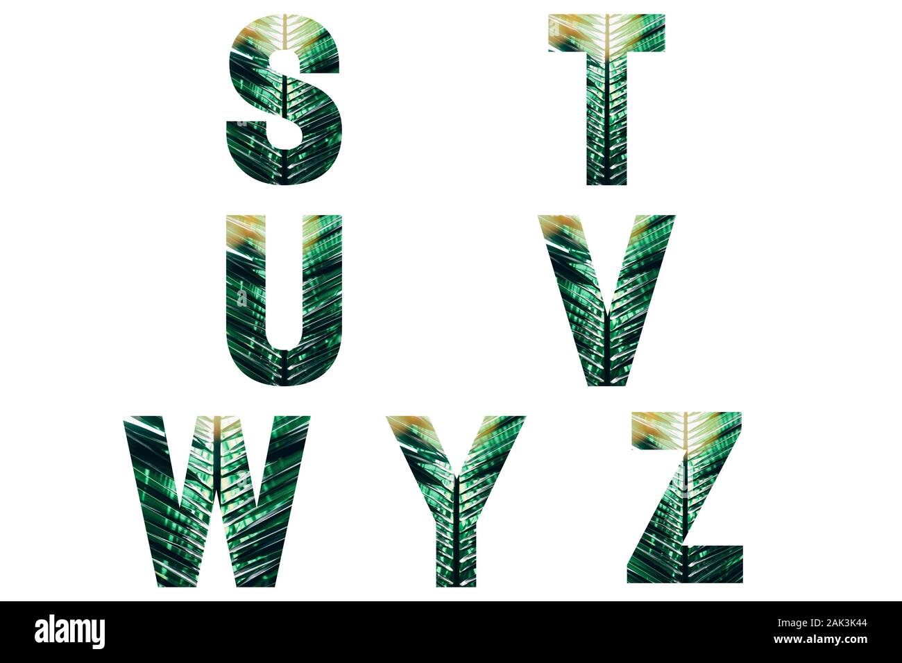 Wicker font Alphabet s, t, u, v, w, y, z made of fresh green palm ...