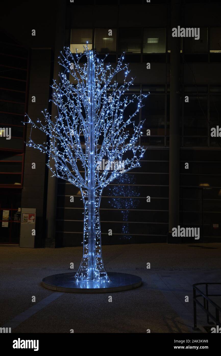 Tree made of Lights Stock Photo - Alamy