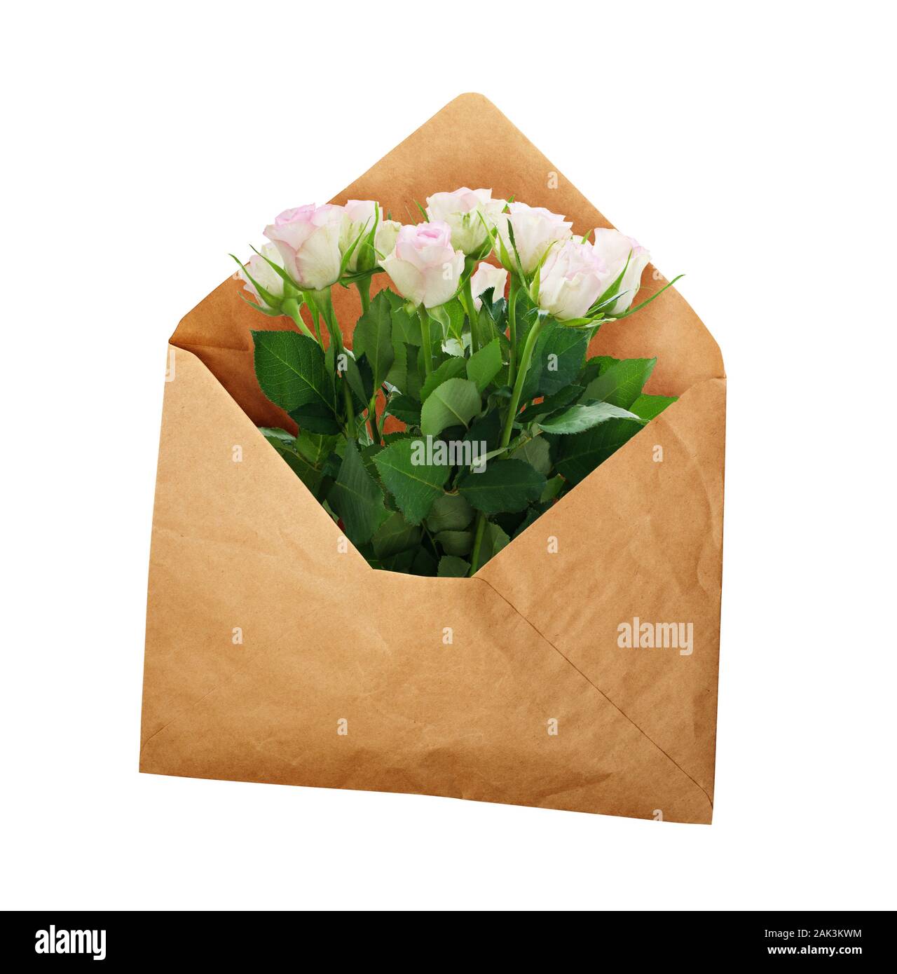Opened craft paper envelope with white rose flowers isolated on white ...