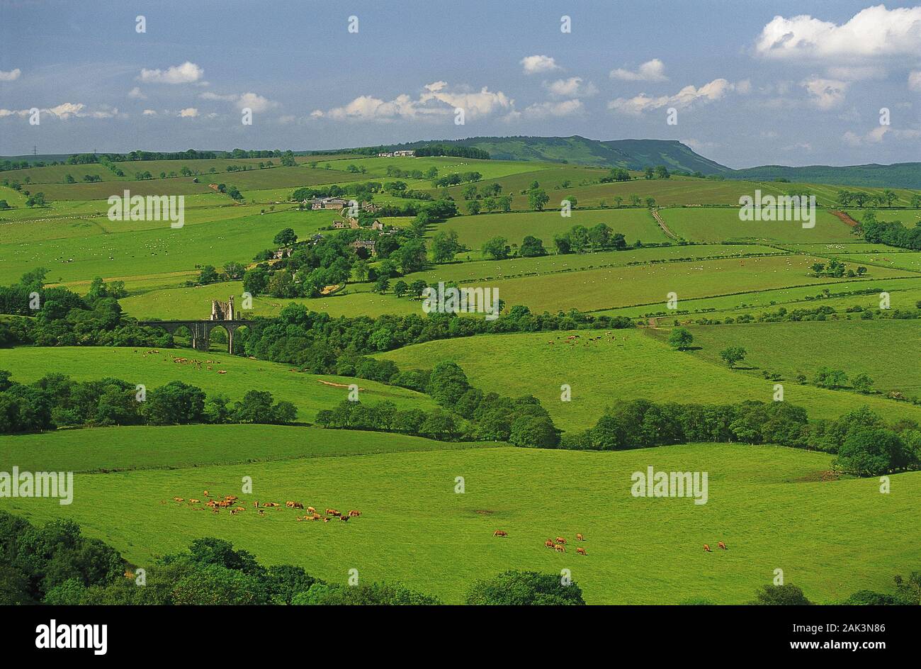 Northumberland rothbury village hi-res stock photography and images - Alamy
