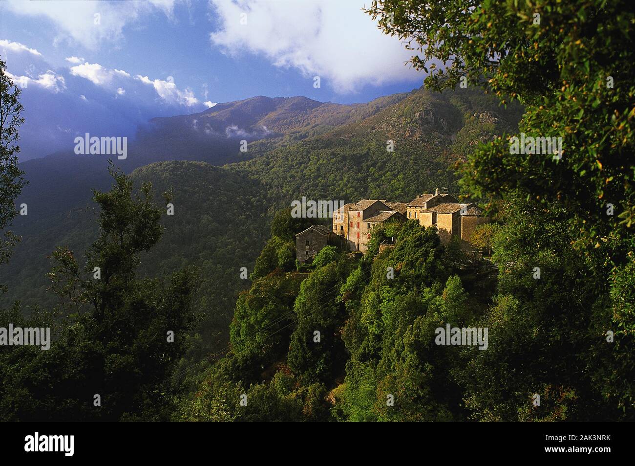 Castagniccia hi-res stock photography and images - Alamy
