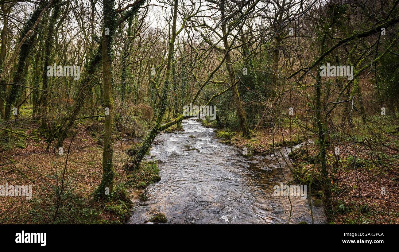 Warleggan river hi-res stock photography and images - Alamy