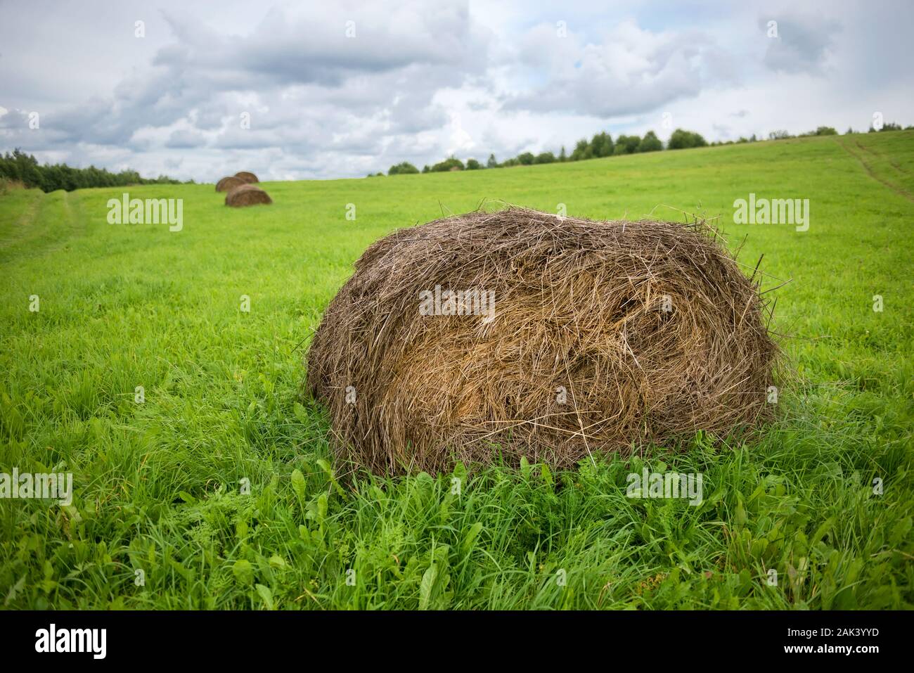 Rural landscape with hay rolls on growing green grass Stock Photo - Alamy